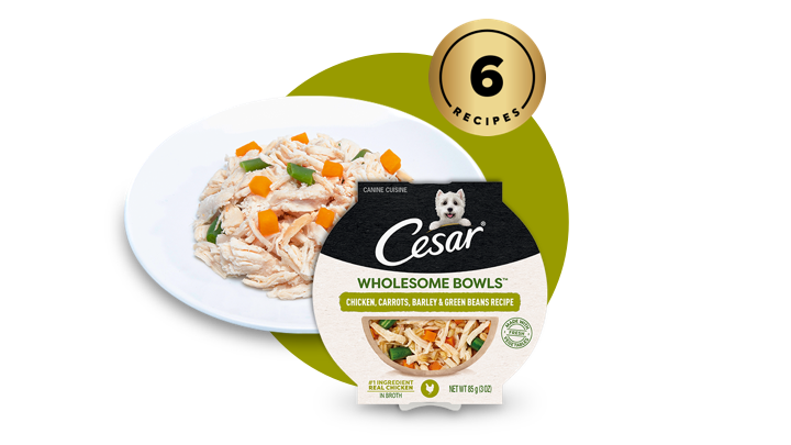 Cesar Wholesome Bowls